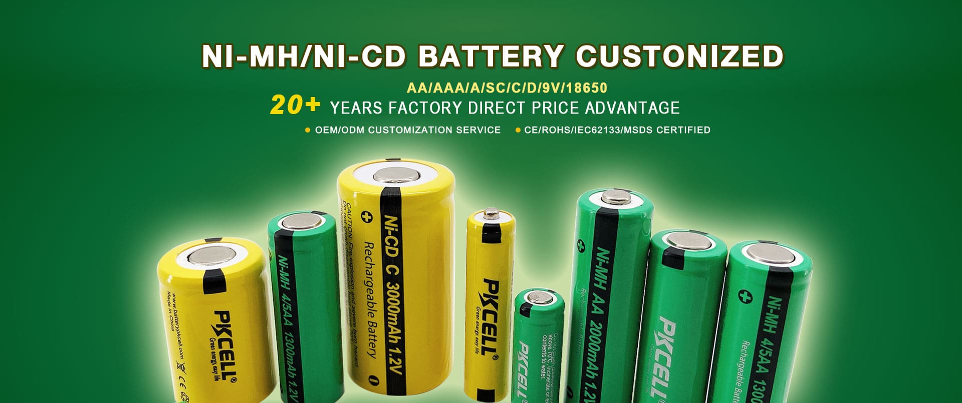 Company Introduction